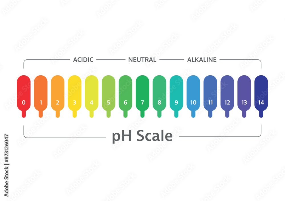 vector pH scale. ph chart, acidic and alkaline scale on white ...