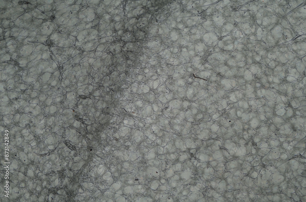 styrofoam surface texture in detail Stock Photo | Adobe Stock