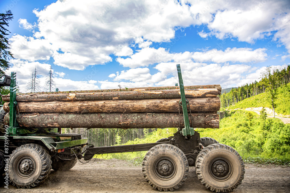 The logs are folded on the tractor. Timber truck brought timber to the ...