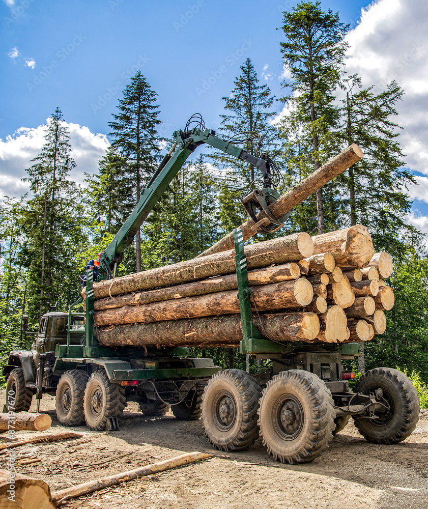 Lumberjack with modern harvester working in a forest. Forest industry ...