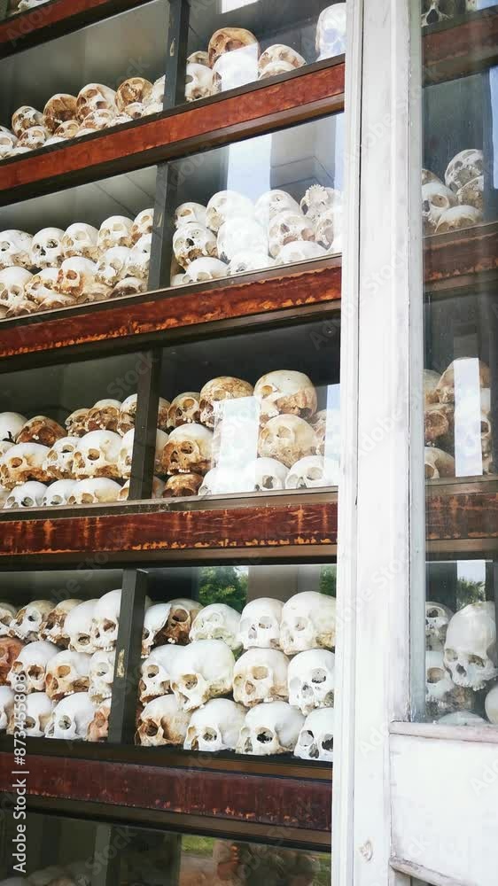 Rows of human skulls on wooden shelves, preserved behind glass, serve ...