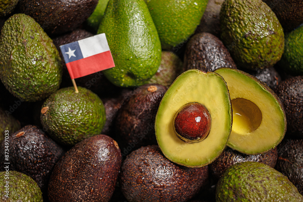 Chilean Hass Paltas, close-up view showing a mix of Hass and Fuerte ...