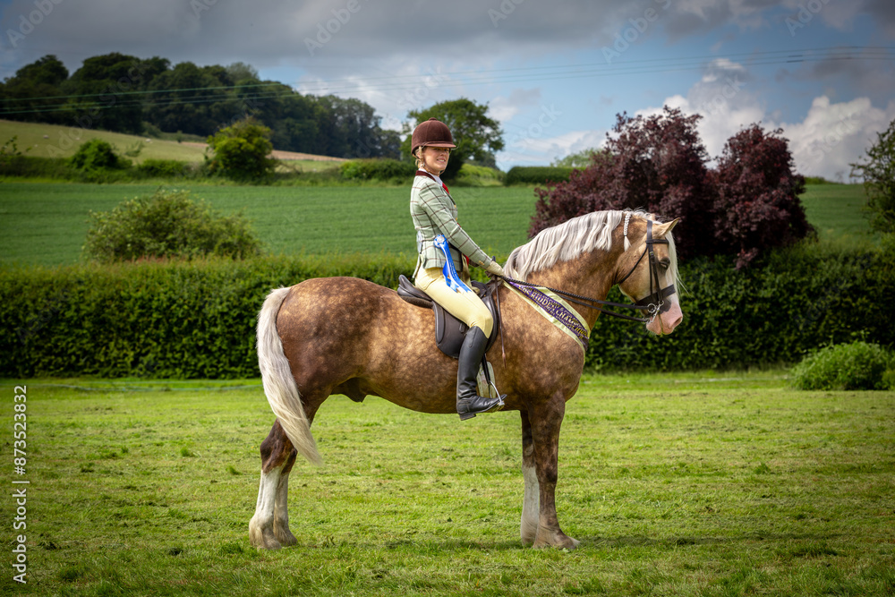 Young female winning in a ridden horse show competition, Image shows a ...