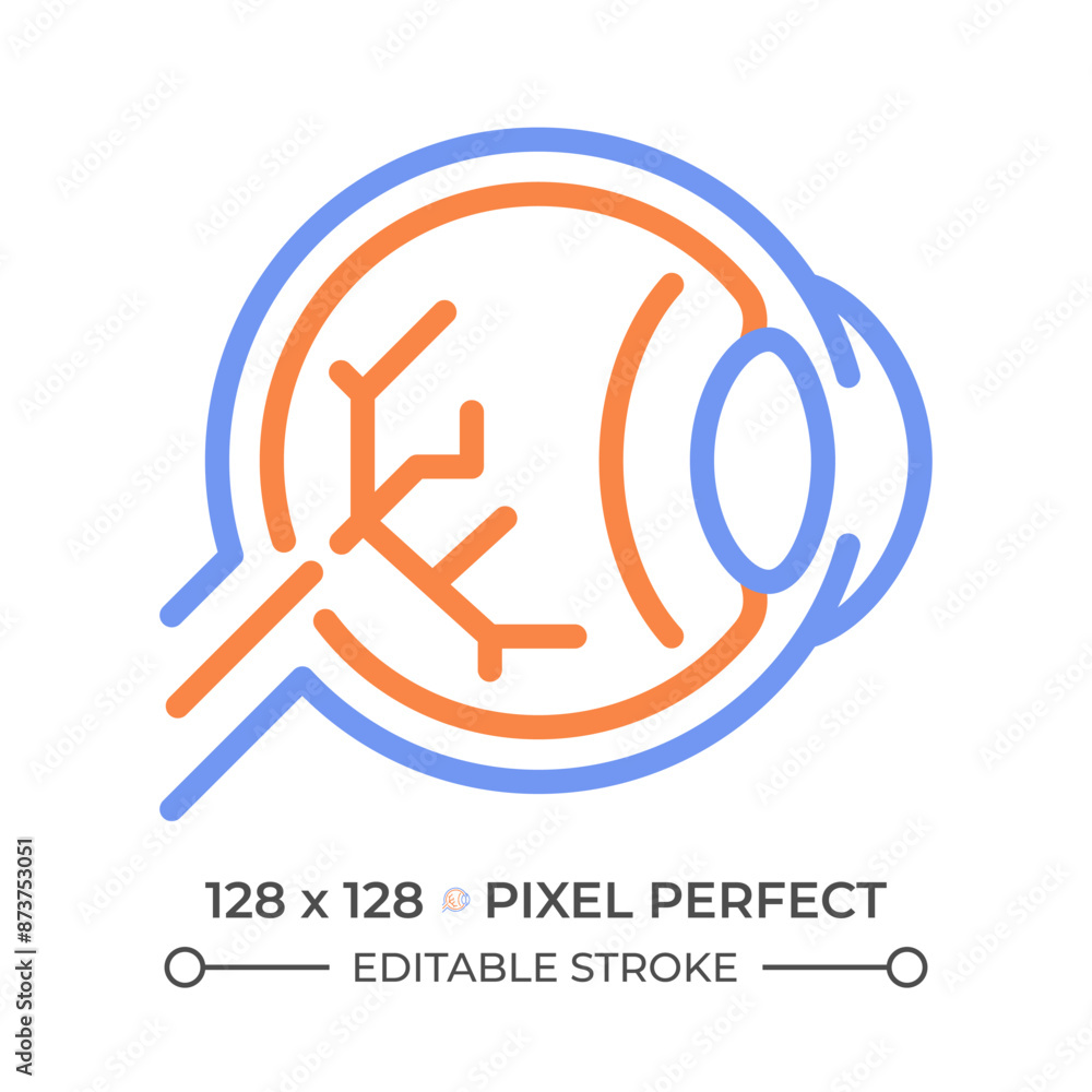 Eyestrain icon. Eye anatomy. Detailed structures such as the retina ...