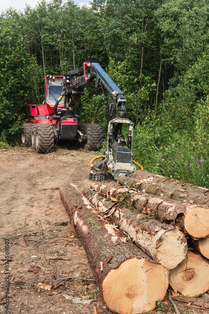 Red forest harvesting machine at work of a plantation. Wheeled ...