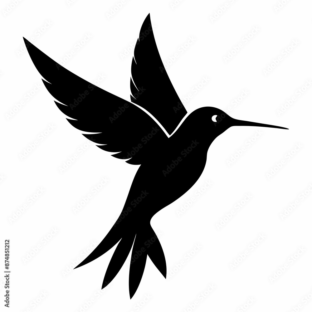 Hummingbird vector illustration, bird isolated on white, Hummingbird ...