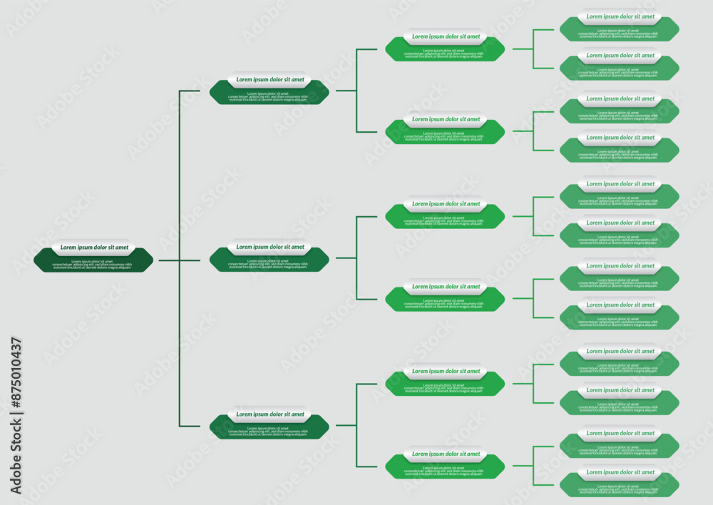 Organizational Hierarchy infographic and comparison template design ...