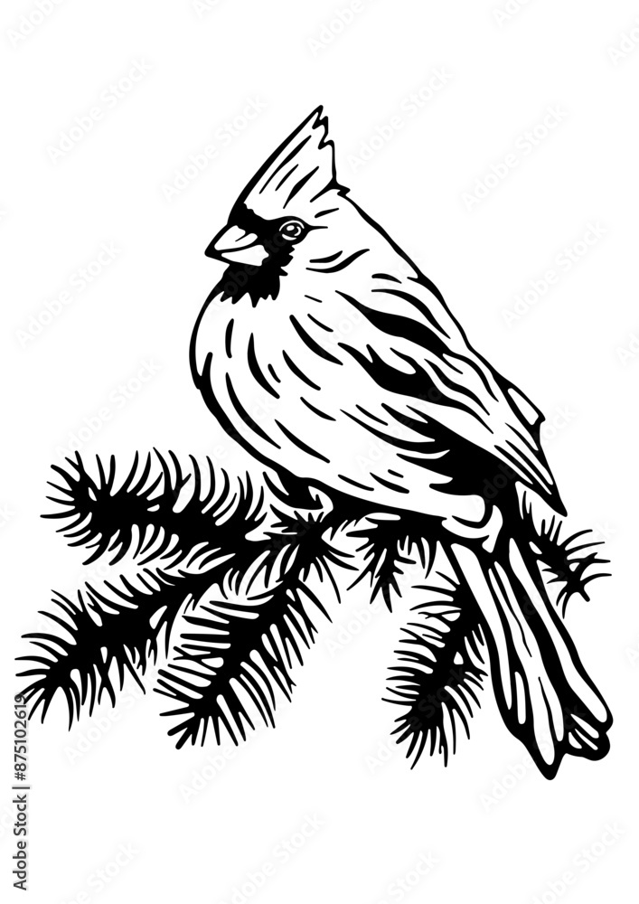 Northern cardinal SVG, Bird SVG, Animal SVG, Feathers SVG, Wings SVG ...