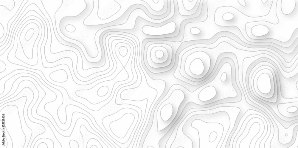 Vector white wave line geography landscape Topo contour map on white ...