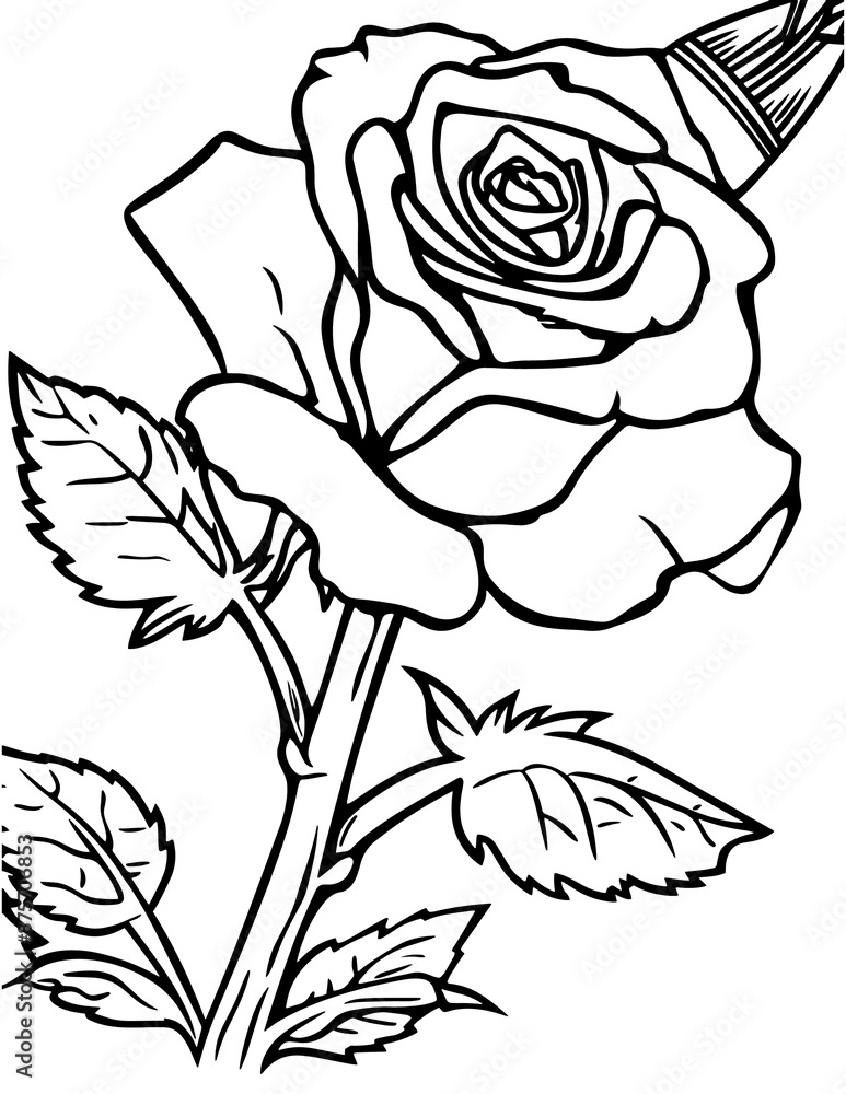 Hand Drawing Design Line Rose Flower Coloring Page for Kids and Adults ...
