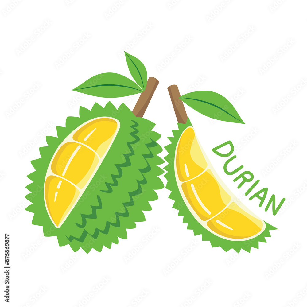 Durian, Summer tropical of durian fruit. Durian design. Stock ...