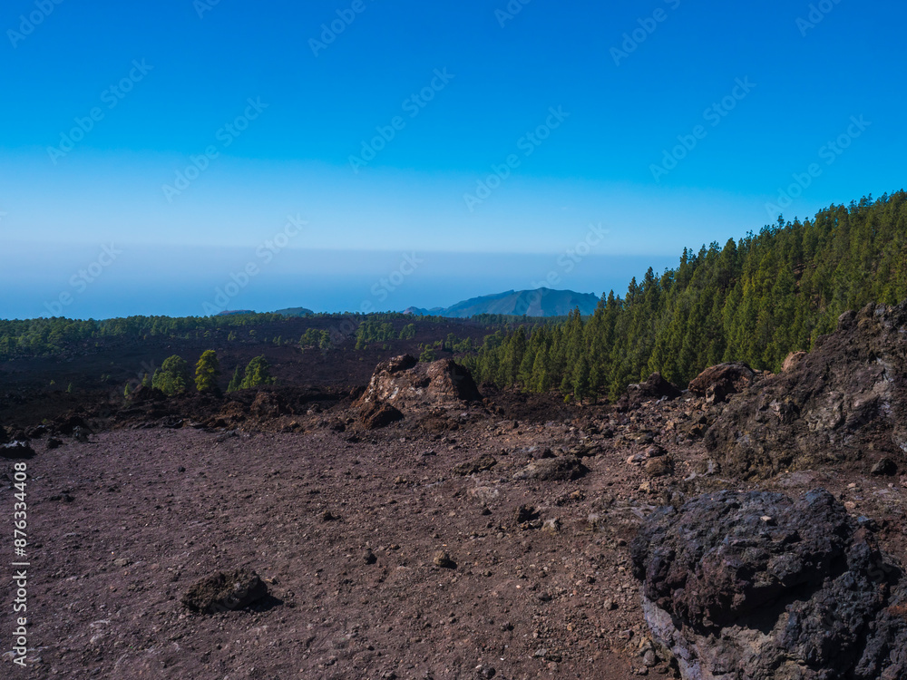 Volcanic landscape at Chinyero volcano circular hiking trail. Black ...