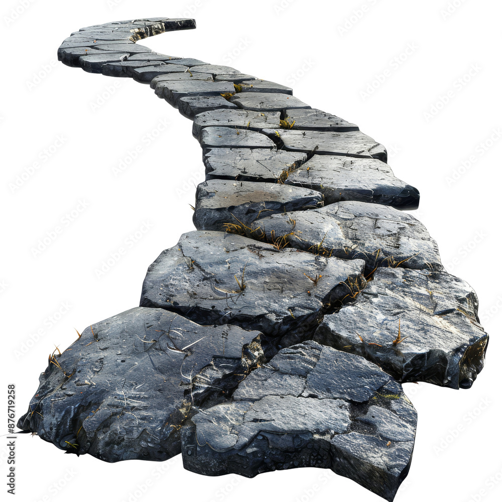 Winding stone pathway with large flat stones arranged in a natural ...