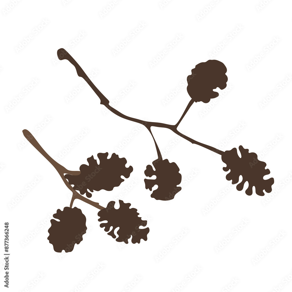 Alder Cones Icon, Alnus Cone Symbol, Dry Plant Branch Sign, Dry Alder ...