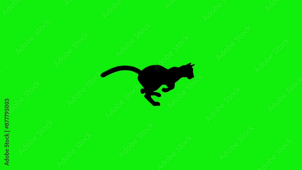 Side view animation of a domestic cat silhouette running alone across ...
