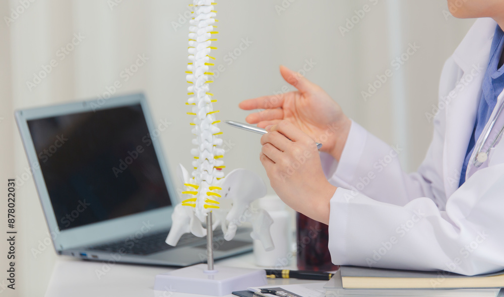 An orthopedic doctor shows a spinal model to a patient in a human ...