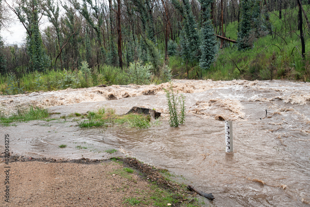 River in flood with fast flowing muddy water hurtling down the river ...