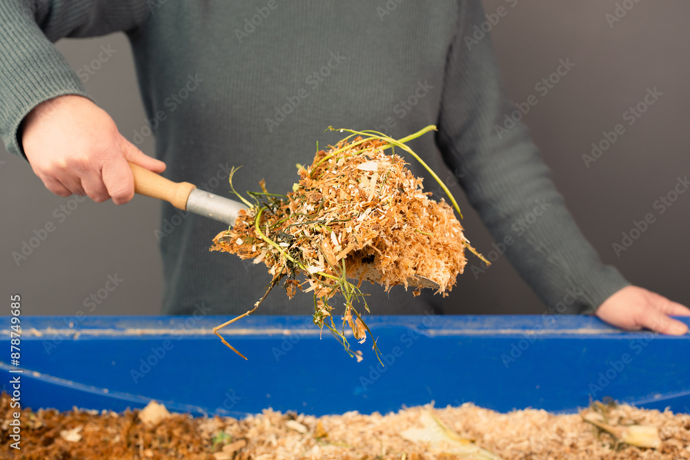 Cleaning the rabbit cage, scatter and straw with rabbit shit and ...