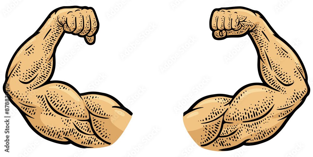 Muscular hands arms of strong man bodybuilder color sketch engraving ...