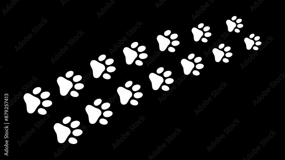 Dog Paw Trail Of White Paw Prints Animation Prints On Alpha Channel ...