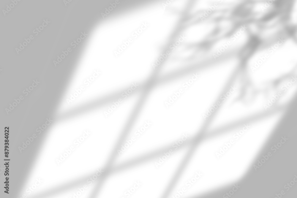 Plant shadow png, Botanical shadow in transparent background, design ...