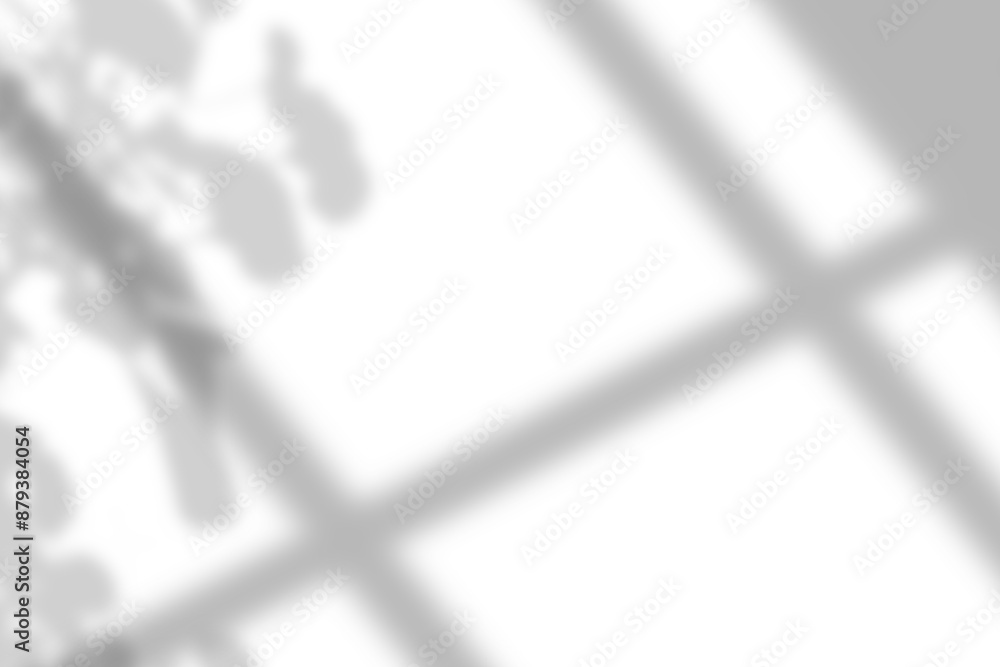 Plant shadow png, Botanical shadow in transparent background, design ...