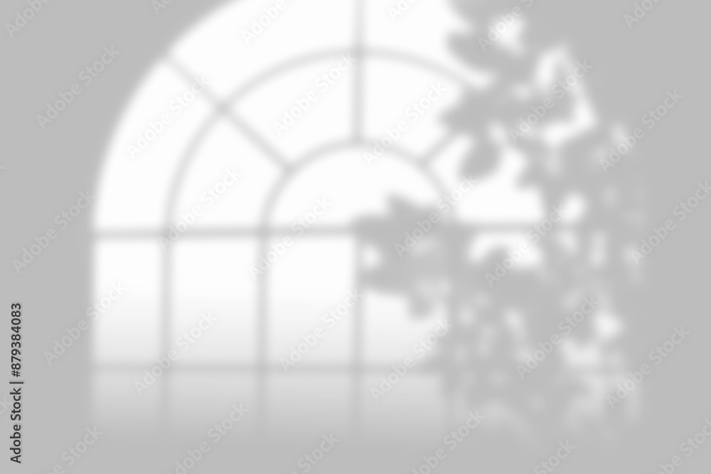 Plant shadow png, Botanical shadow in transparent background, design ...