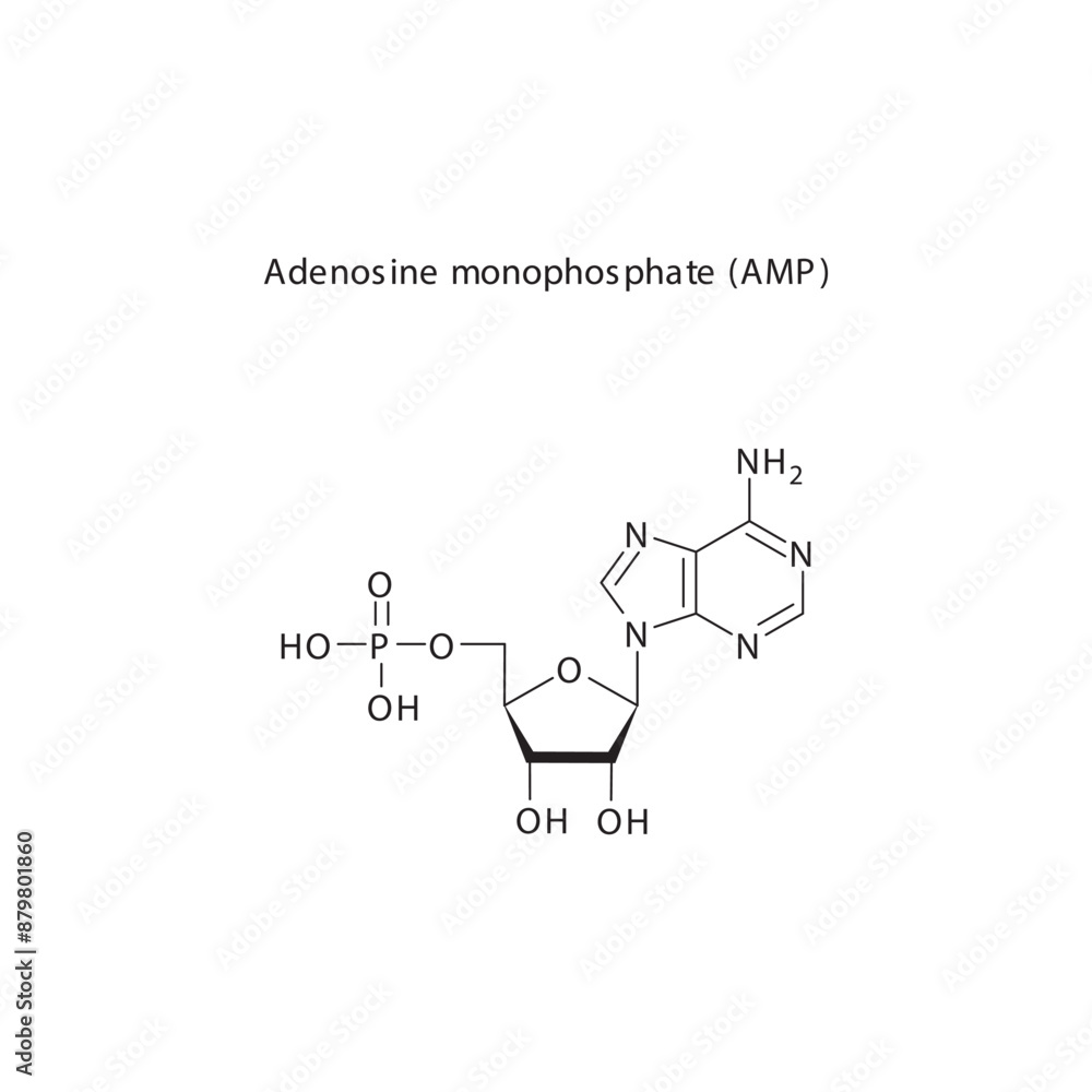 Adenosine diphosphate (ADP) skeletal structure schematic illustration, Nucleoside molecule ...