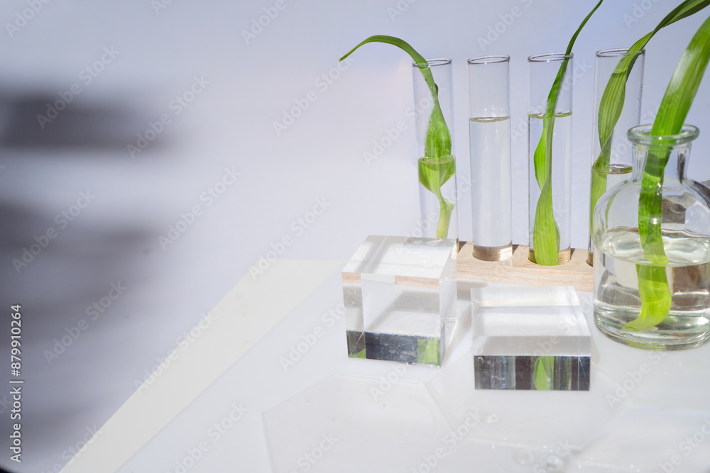 Science and nature concept, green laboratory background with podiums ...