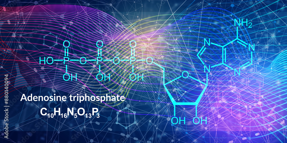 Adenosine triphosphate or ATP molecule, is intracellular energy ... Adenosine triphosphate or ATP molecule, is intracellular energy ...