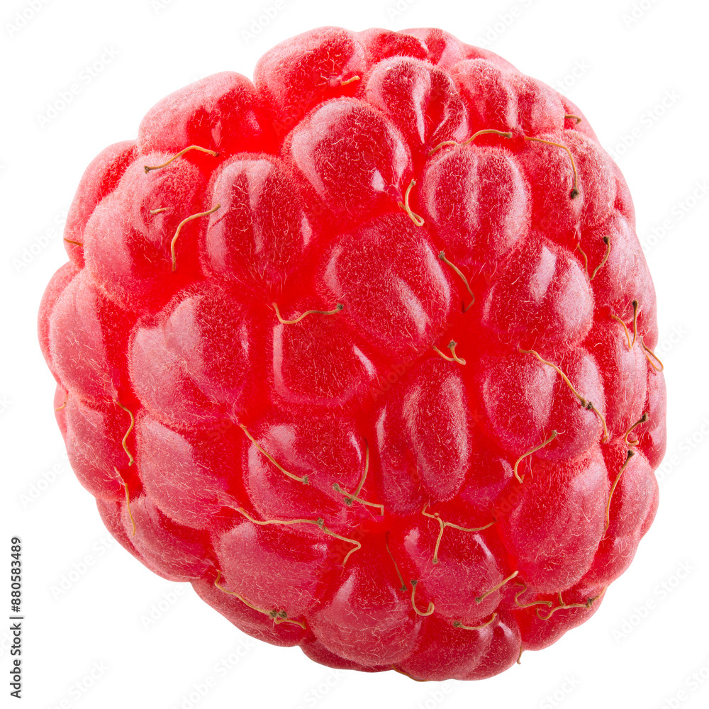 Raspberry isolated png. Raspberry on transparent background. PNG format ...