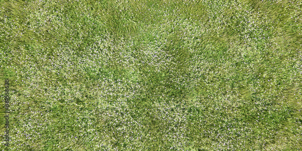grass and field scabious simple 3d texture, grass texture, 3d texture ...