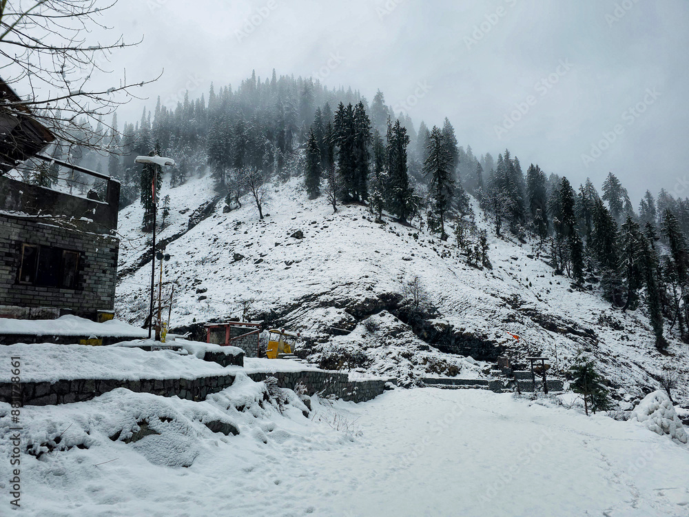sissu, himachal pradesh, himalaya, ladakh, indian, village, koksar ...