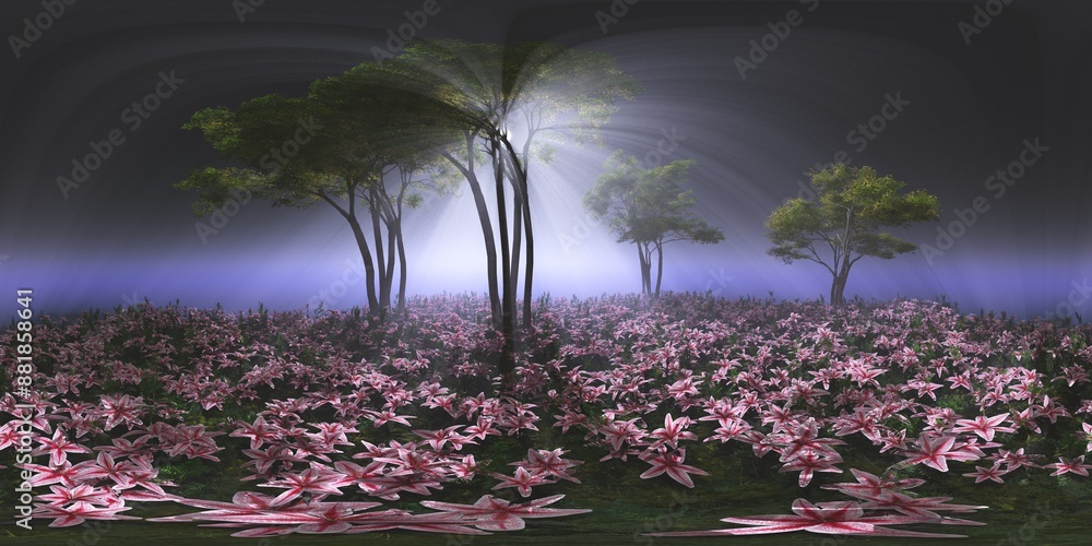 HDRI, environment map , Round panorama, spherical panorama, equidistant ...