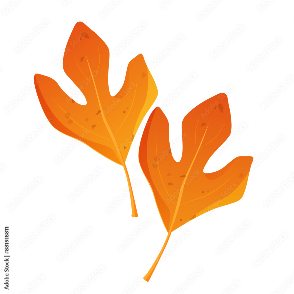 Vector cartoon sassafras leaves isolated on white background. Stock ...
