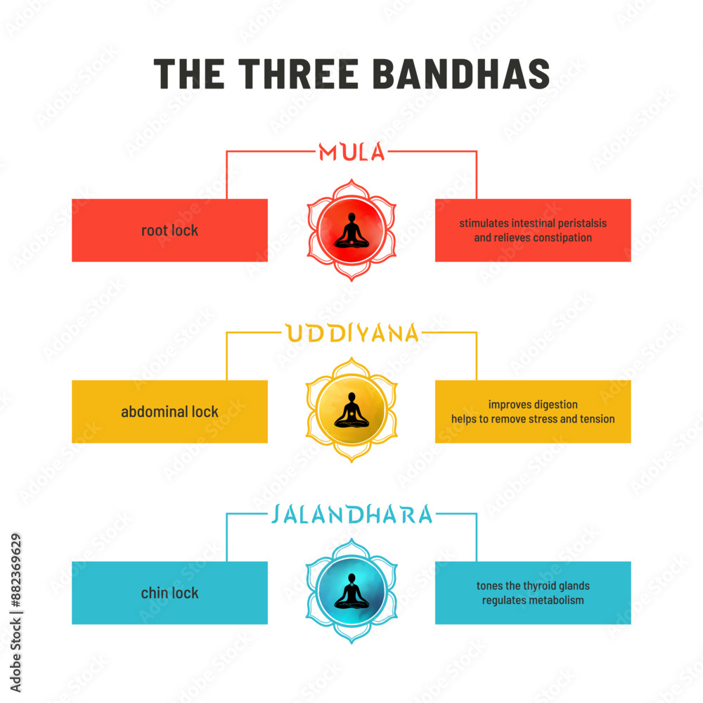 Infographic made in vector explaining 3 bandhas in yoga - Mula ...