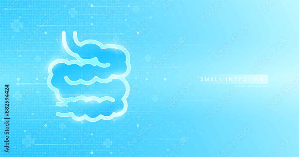 Human small intestine outline glowing on blue background futuristic ...