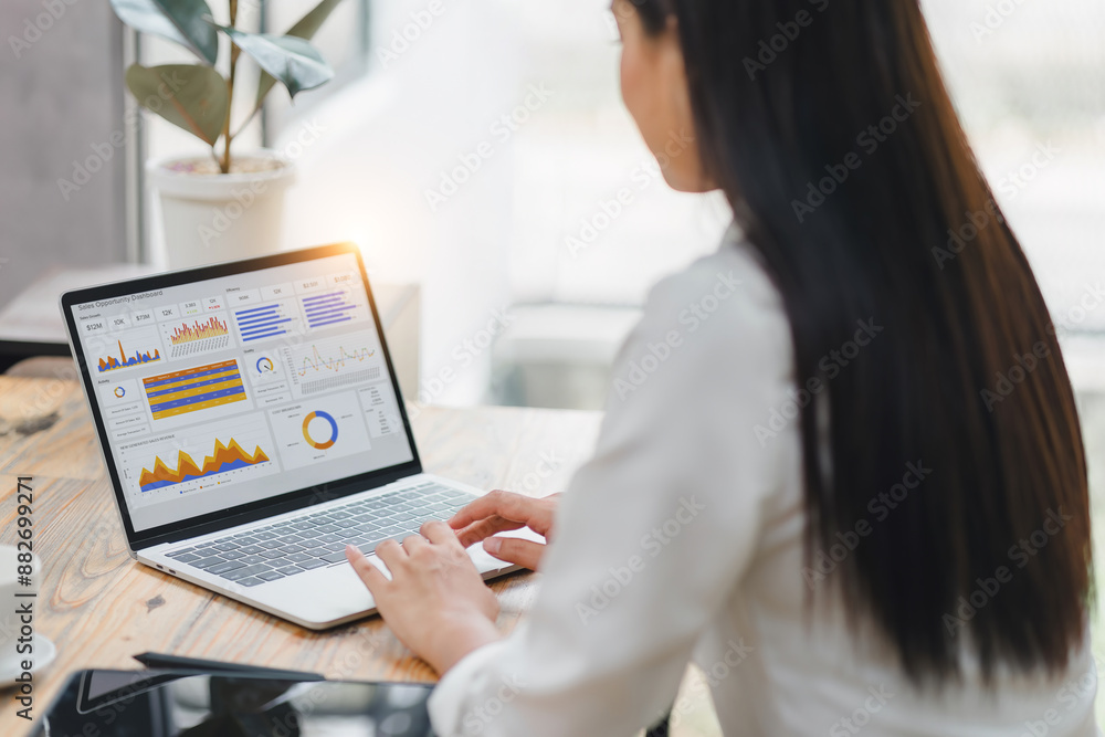 Professional data analyst using data visualizations dashboard on ...