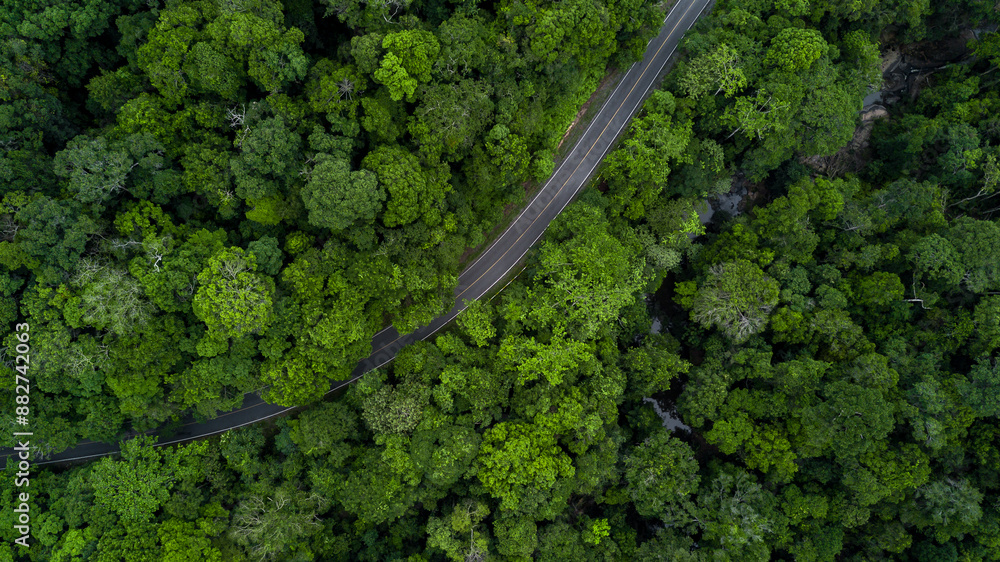 Aerial view asphalt road in green forest tree, Asphalt road through ...