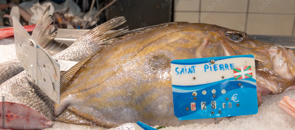 Most delicious fish John Dory, St Pierre or Peter's fish, catch of the ...