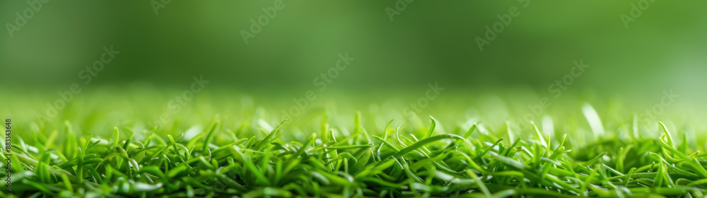 Anime ground texture in nature, Close-up realism wallpaper Stock Photo ...