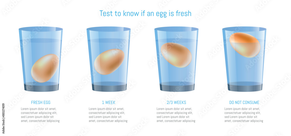 Infographic illustrating the test to determine egg freshness using ...