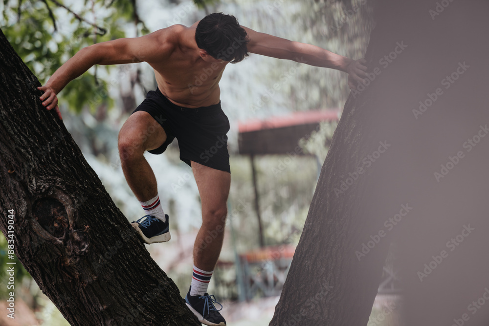 A shirtless young man climbing a tree as part of an adventurous outdoor ...