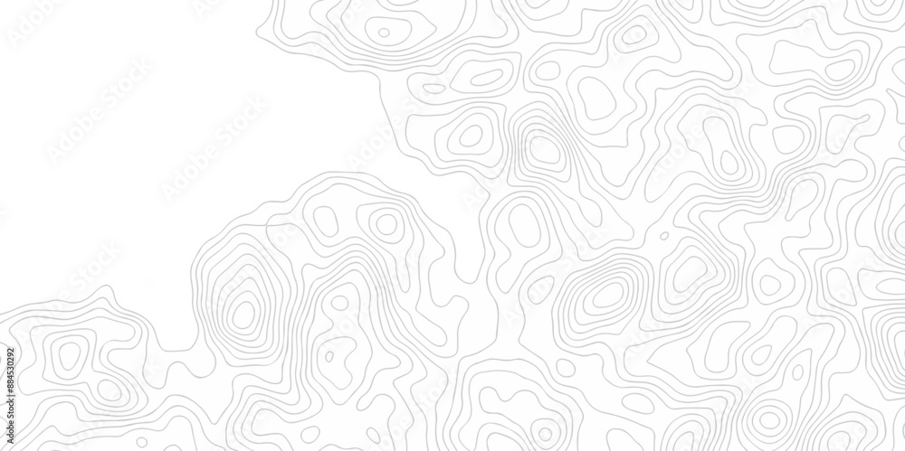 Vector white wave line geography landscape Topo contour map on white ...