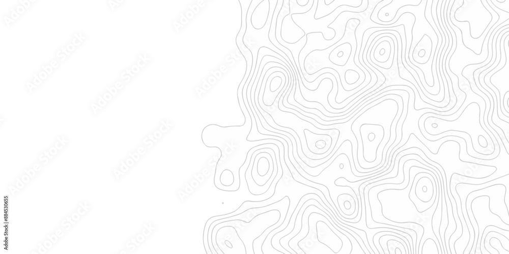 Vector white wave line geography landscape Topo contour map on white ...