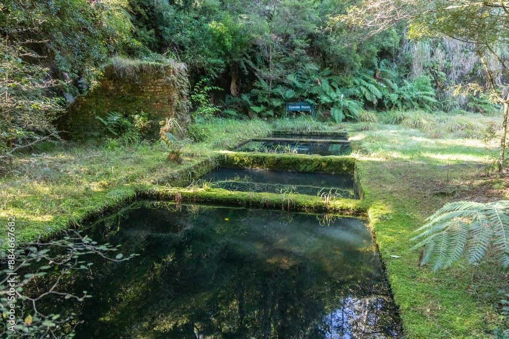 Cyanide ponds used in gold mining in the abandoned historic Luck At ...