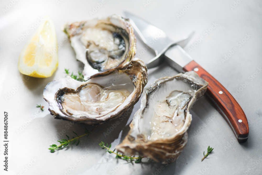 Oysters close up with knife, open french oysters. Healthy sea food ...