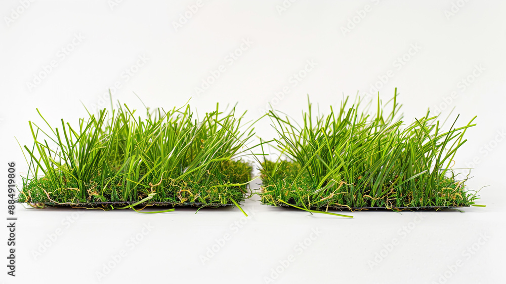 Green grass isolated on white background High resolution. green grass ...