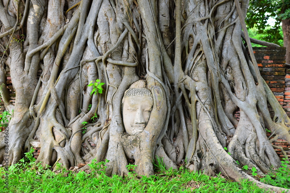 Ayutthaya,Thailand - July 13, 2024 : A picture of the famous Buddha ...