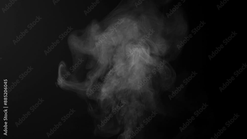 Steam, smoke isolated on black background. Smoke steam spray, abstract ...